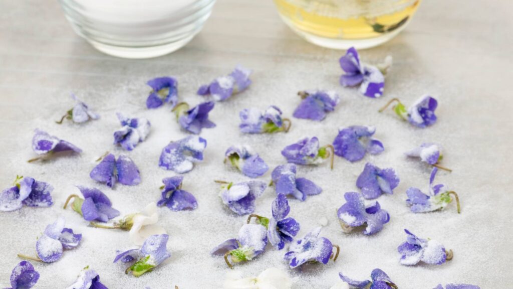 Bonbons violette: Histoire et renouveau décryptés!